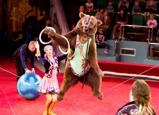 Moscow - the capital of Russia